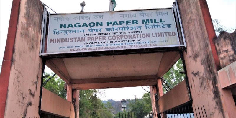Nagaon Paper Mill Logo Site Title