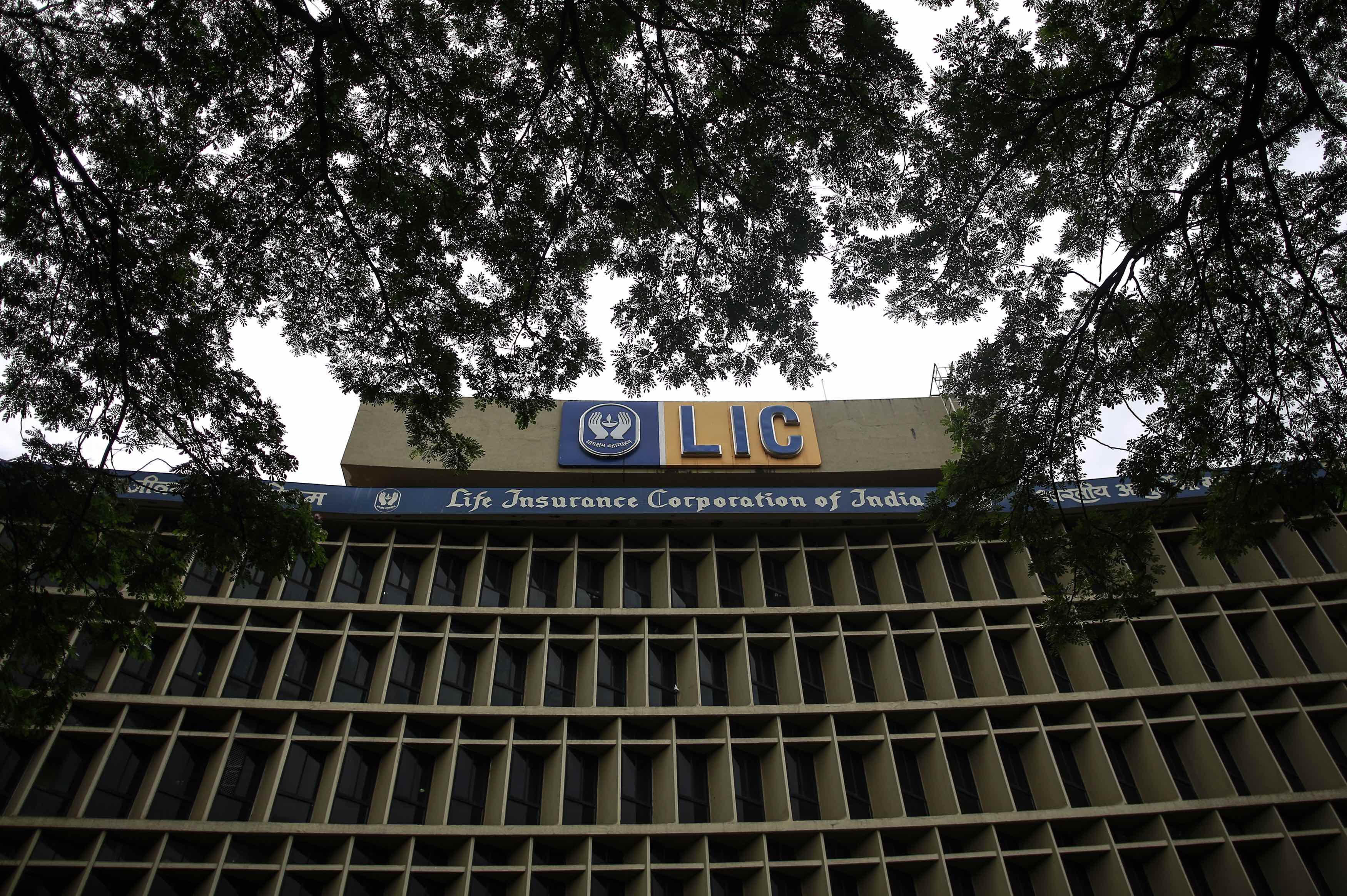 As the Mega LIC IPO Looms, Did it Fulfill the Objectives of ...